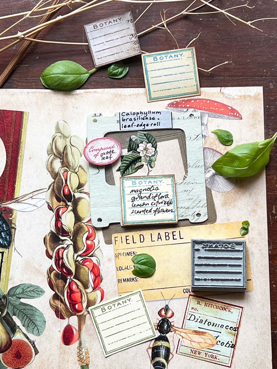 Mic Moc Rubber Stamps