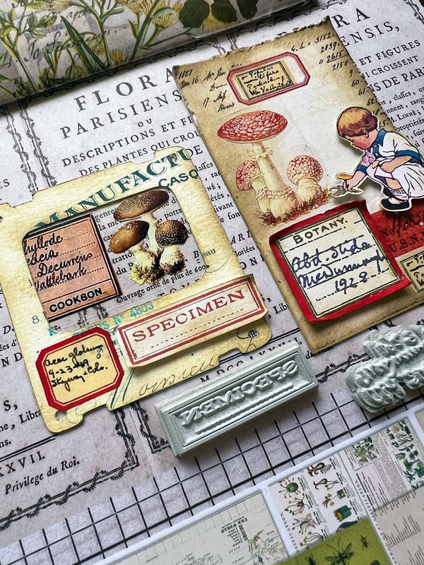 'Curator Specimen Label' Rubber Stamp twin set by Mic Moc (標本記録) from ...